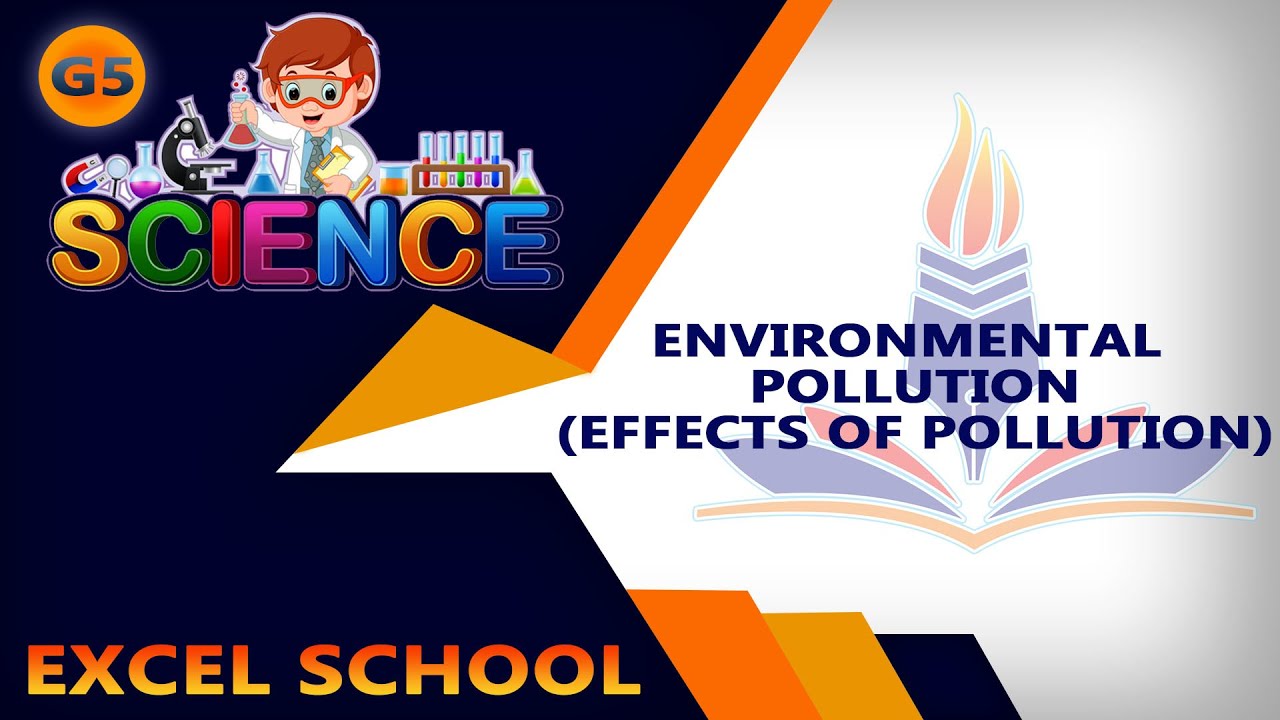 Class 5 |Science |Ch#3 |Environmental Pollution(effects of pollution ...