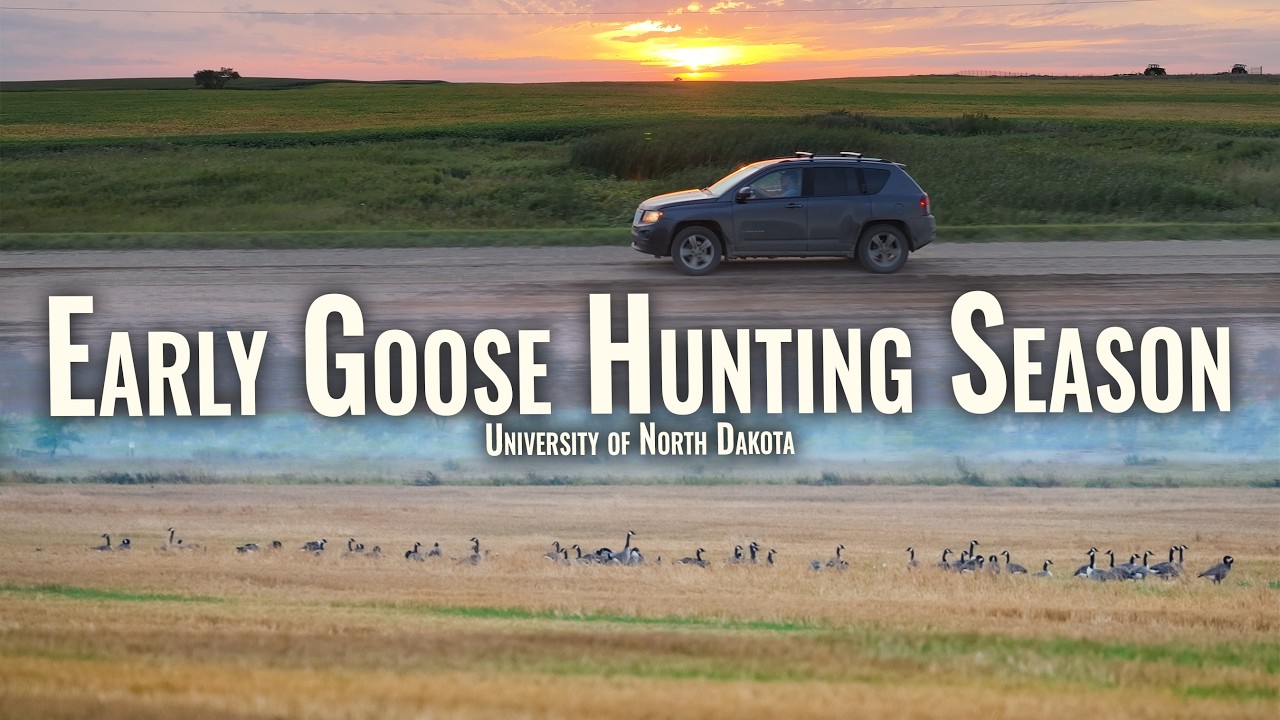A Wild Goose Chase!! Early Goose Hunting Season in North Dakota - YouTube