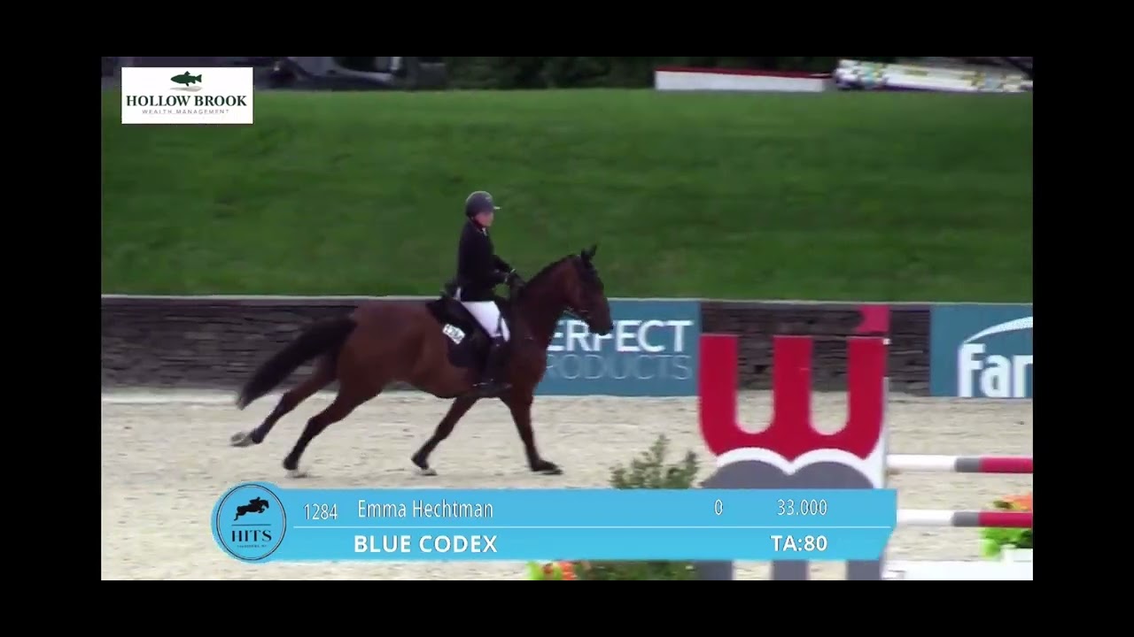 7 year old Blue Codex and Emma Hechtman Medium Junior Jumper Classic Round 1 Saugerties New York ...