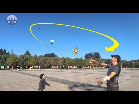 Humans tame the precious images of flapping-wing paper airplanes!【123 ...