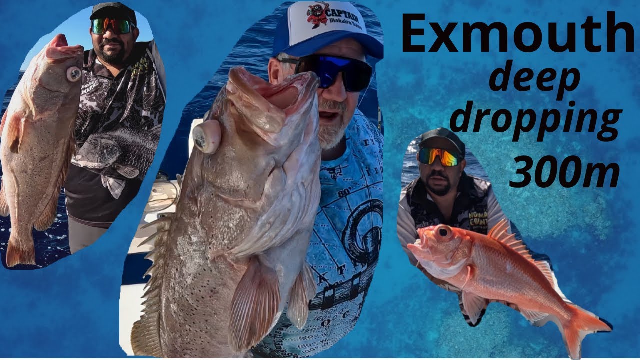 Deep dropping in 300m for Ruby Jobfish ,Dotted Grouper, Goldband off ...
