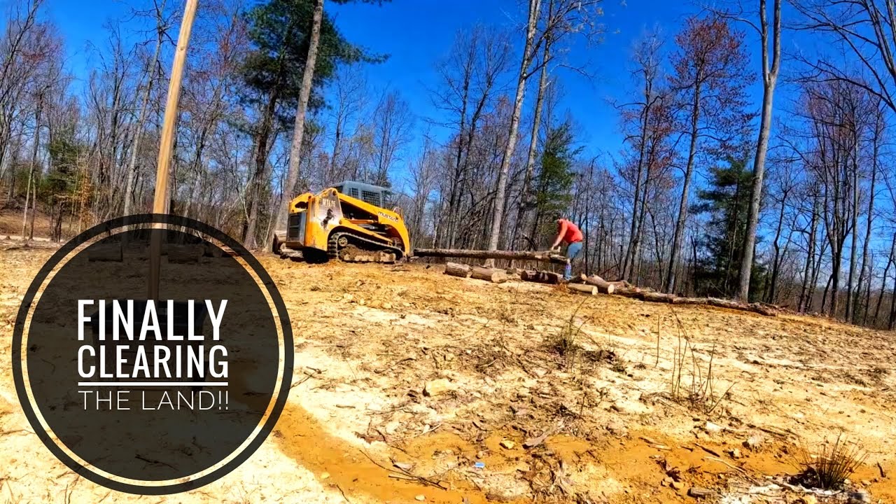 Cleaning up Trees with Skidsteer - YouTube