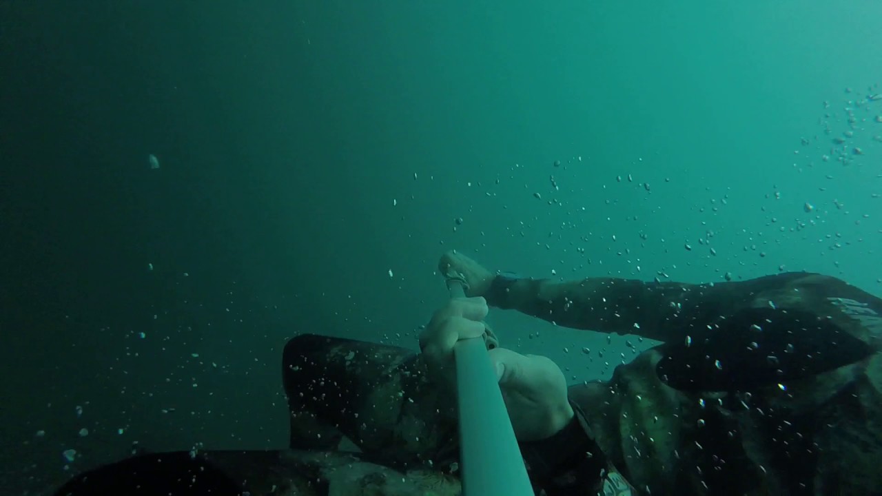 Free DIving at the Philadelphia Quarry. - YouTube