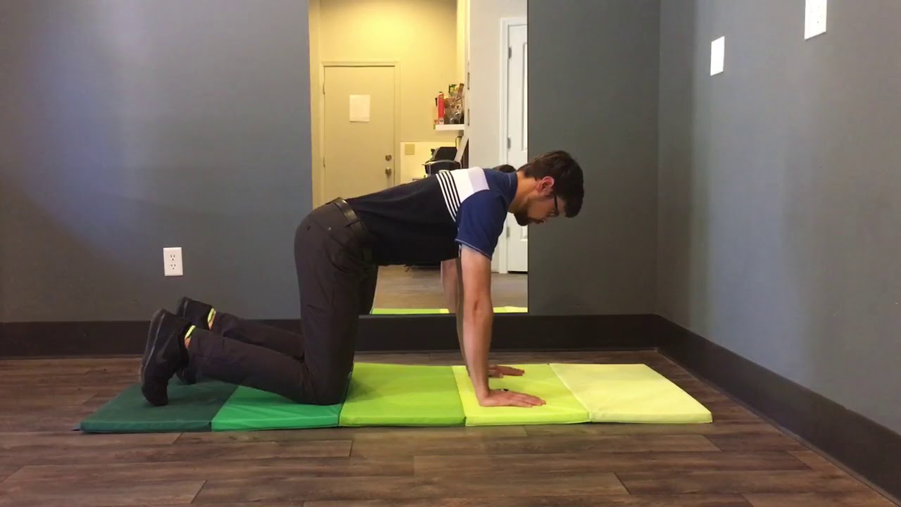 Bird Dog progression 1 - YouTube