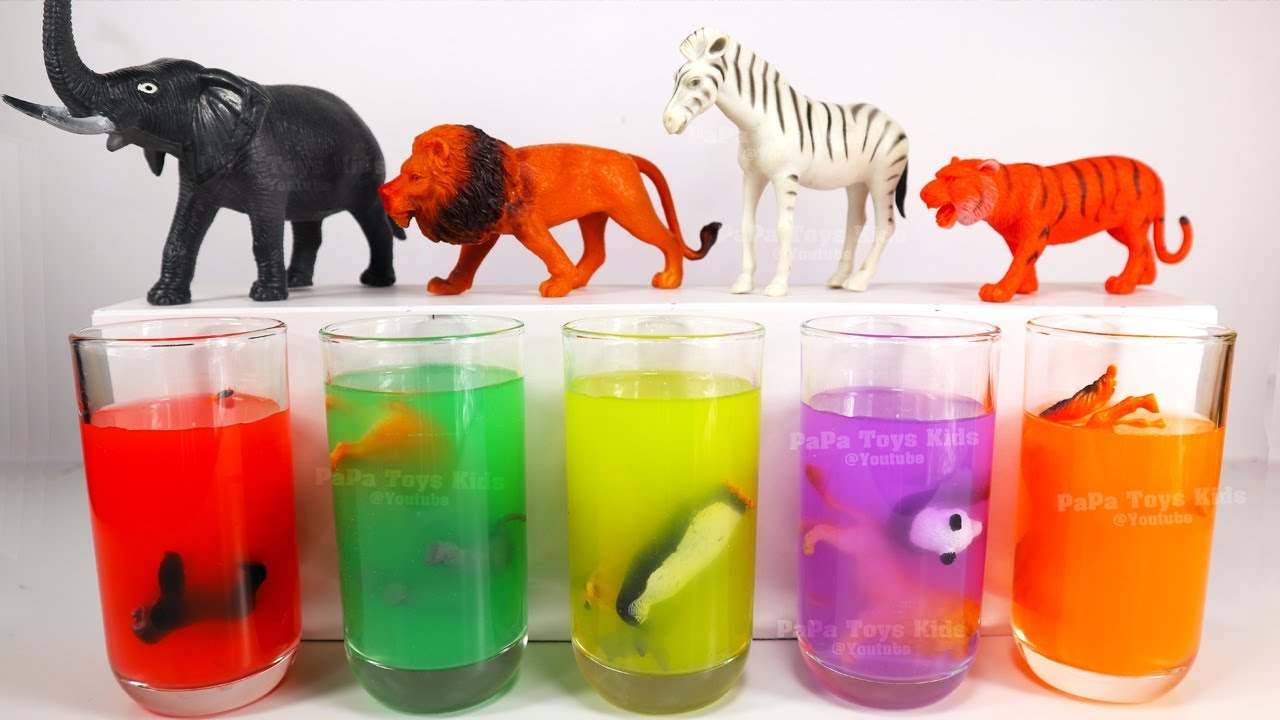 Learn Wild Animals Dip In Colors Water Rainbow | Color Animals For Kids ...