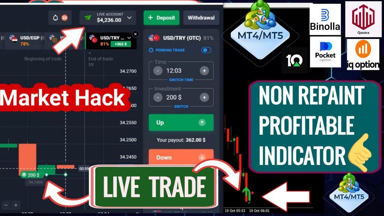 mt4 non repaint profitable indicator. binary and forex hack best ...