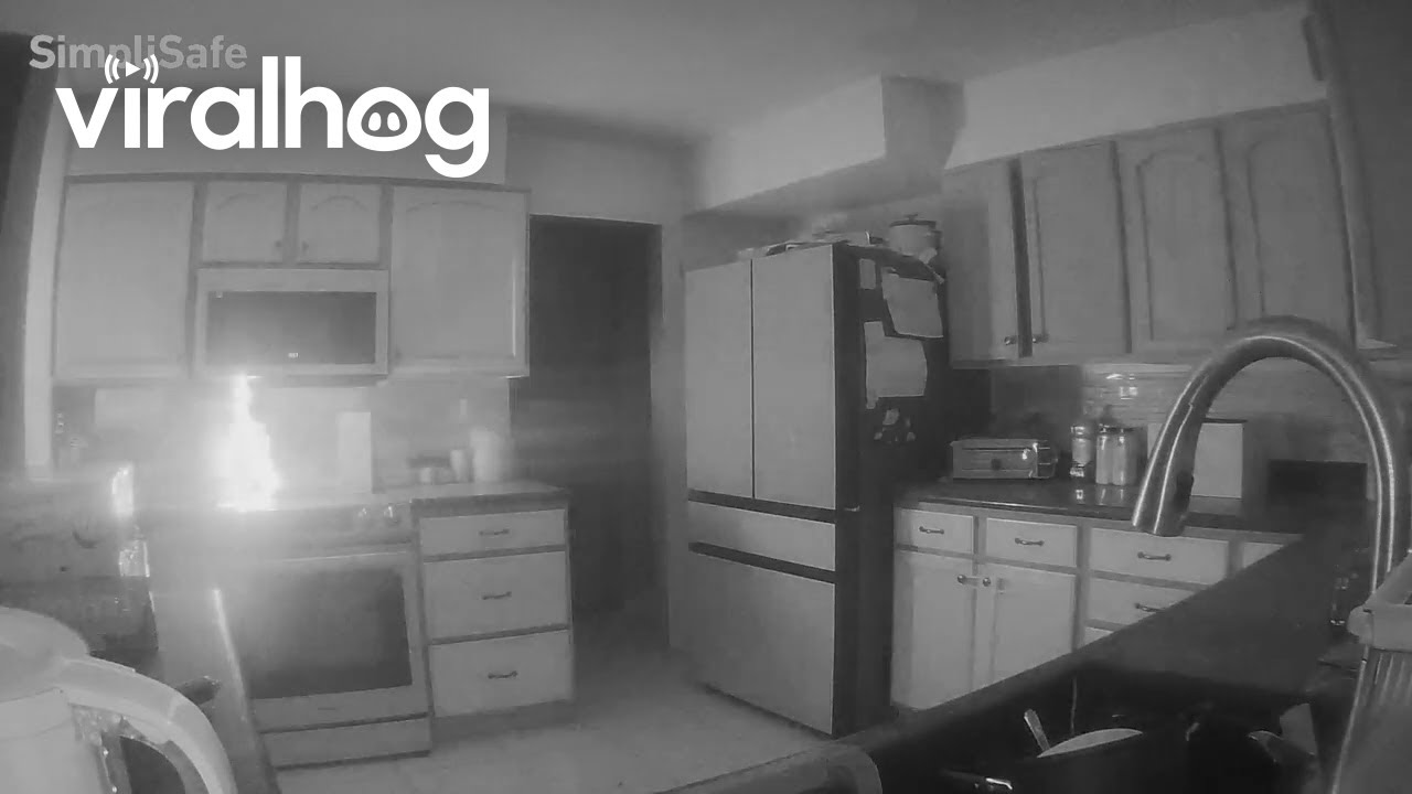 Dog Starts Kitchen Fire In Colorado Springs || ViralHog - YouTube