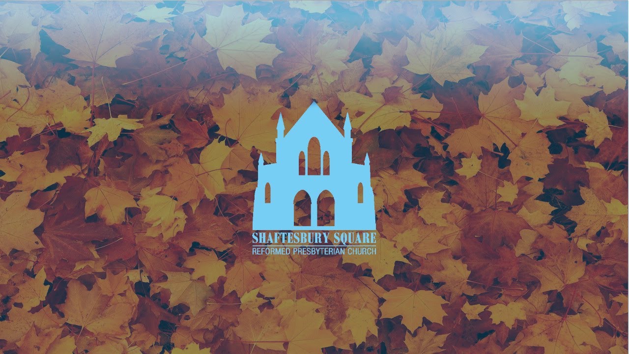 God maintains his covenant, 1 Kings 14:21 - 15:8, SSRPC 5/11/23 Evening ...