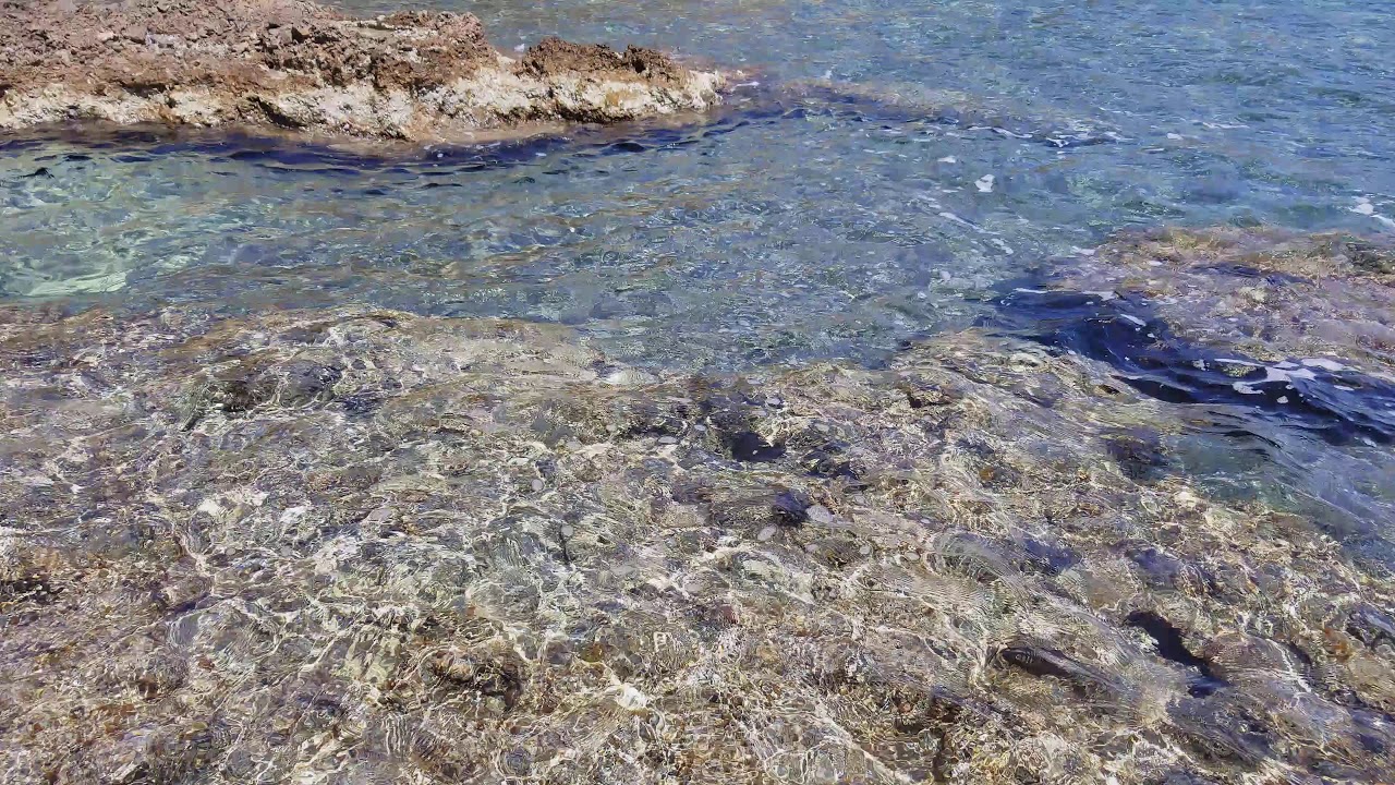 Sea Video - Nature Video - YouTube