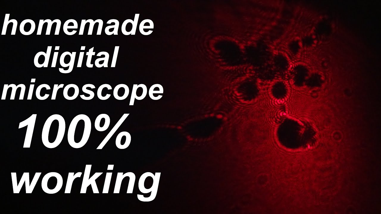 how to make a microscope at home under $1. - YouTube