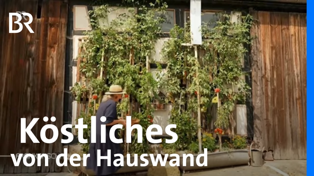 Natascha Kettenacker: Leckeres aus Zitronen und Tomaten | Rezepte ...