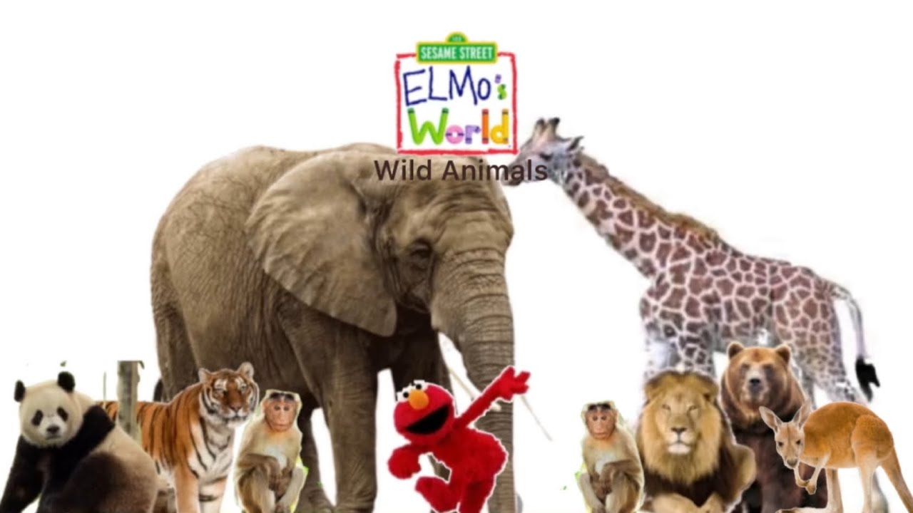 Elmo’s World: Wild Animals - YouTube