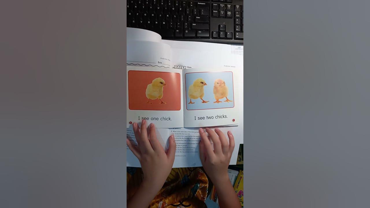 Guide Science Readers - Counting Chicks - YouTube