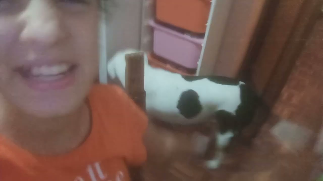 1 parte de mi rutina de tarde de estudio - YouTube