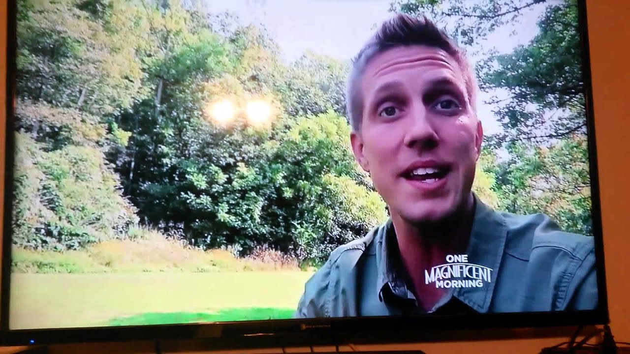 Save my Shelter on One Magnificent Morning - YouTube