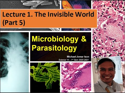 Lecture 1 (Part 5) - The Invisible World (Microbiology) - YouTube