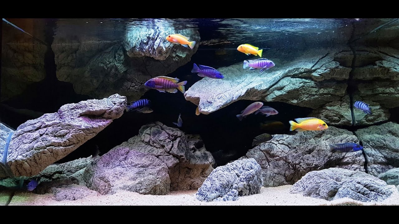 Malawi 3D rocks 130x60 cm by ARSTONE - YouTube