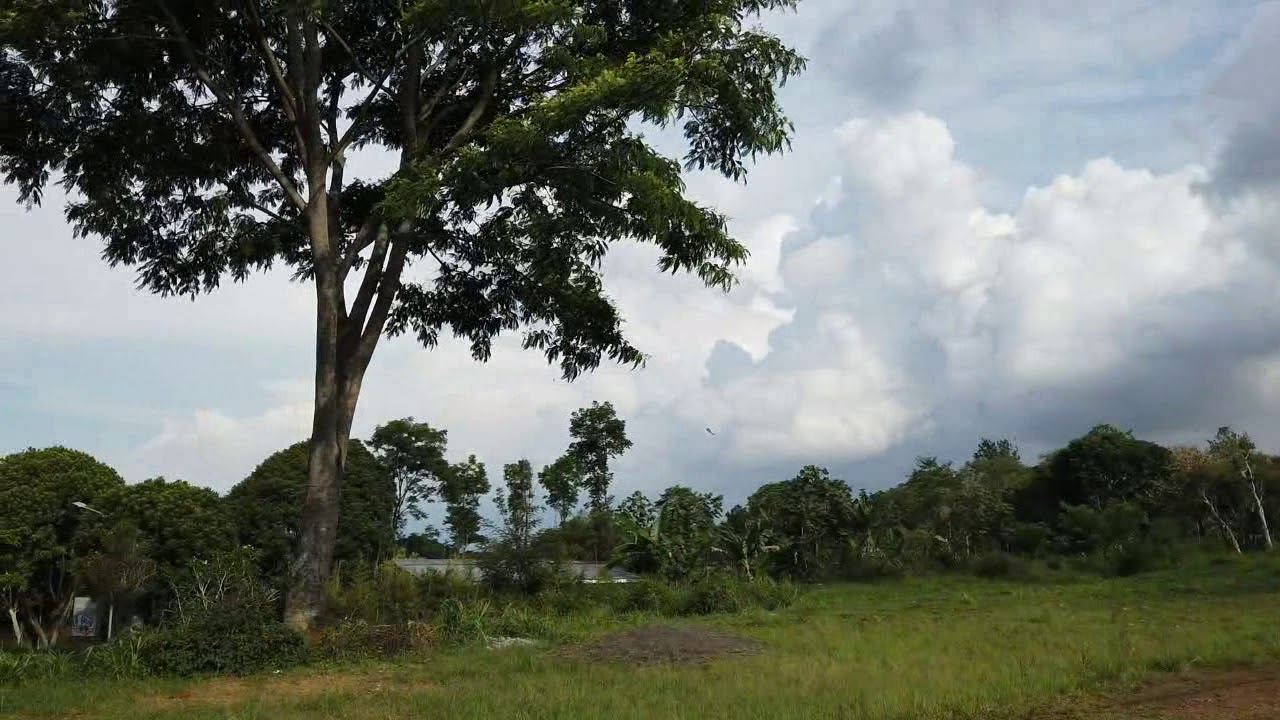 Tanah Bukit Panderman Hill, Bertetangga dgn Jatim Park 2, Batu - YouTube