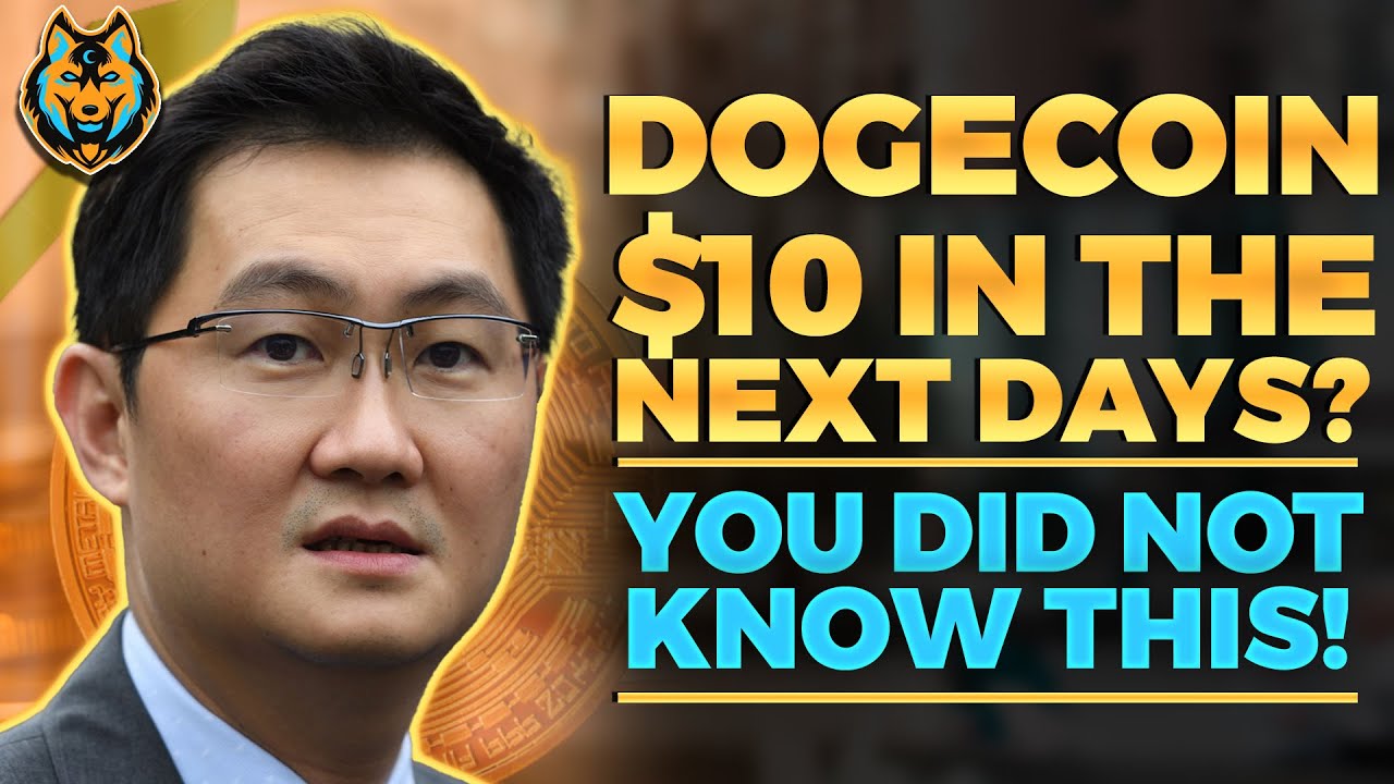 The Effects Of Doge Day On The Dogecoin Price: 'The Day After ...