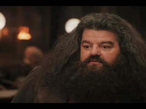 Youtube Poop - Harry Potter and the Sorcerer's Toast : Chapter 3 - YouTube