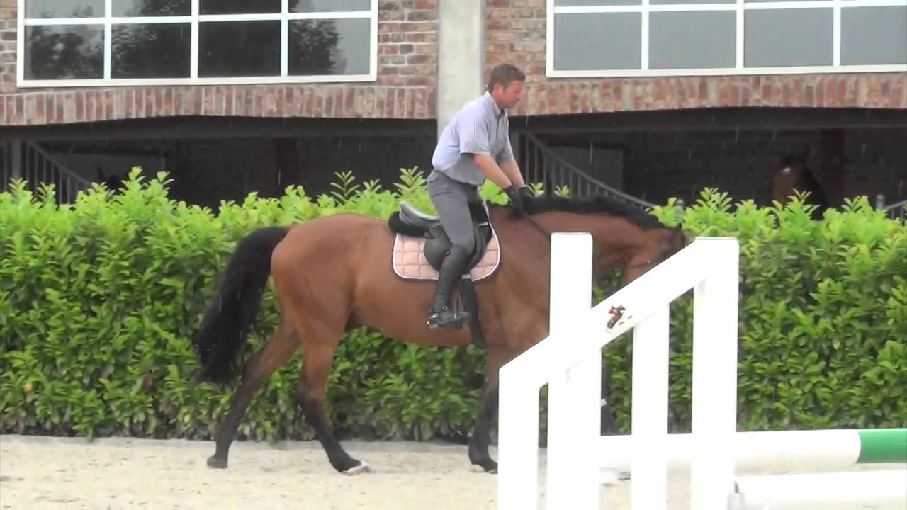 Fabulous Felix Hunter For Sale - YouTube