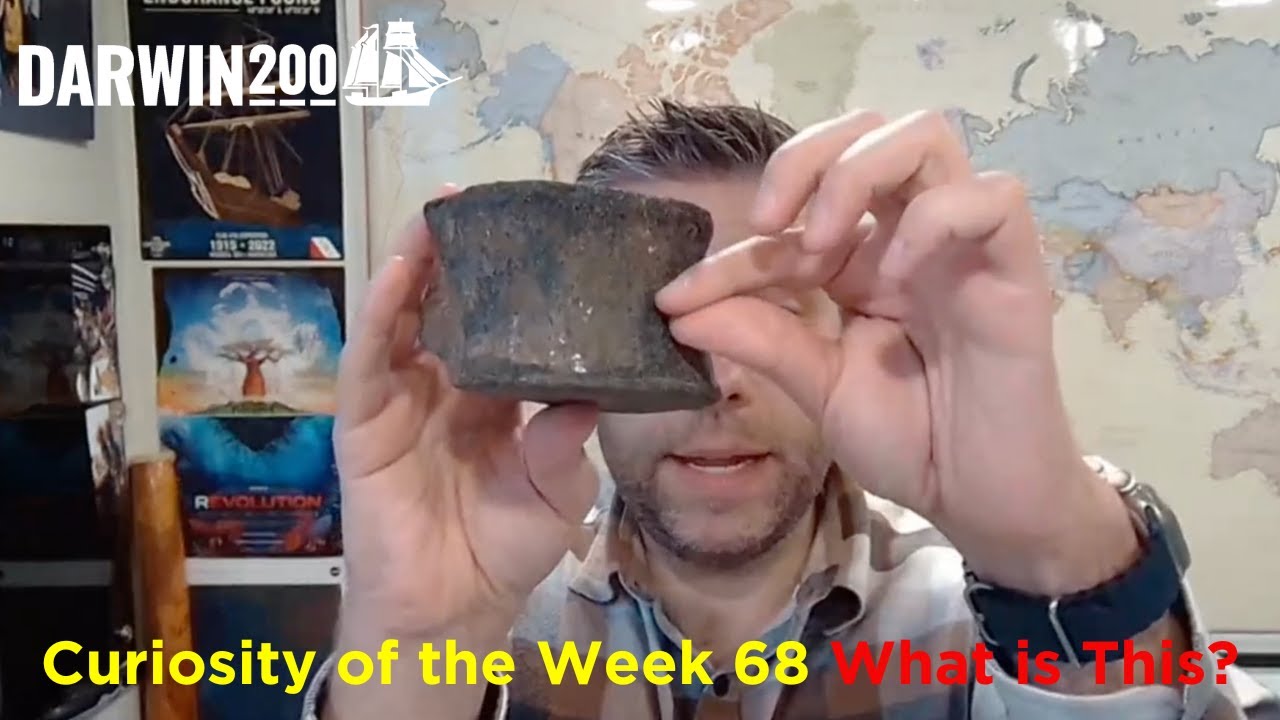 Curiosity of the Week 68 – What is this? (Segment from World's Most ...