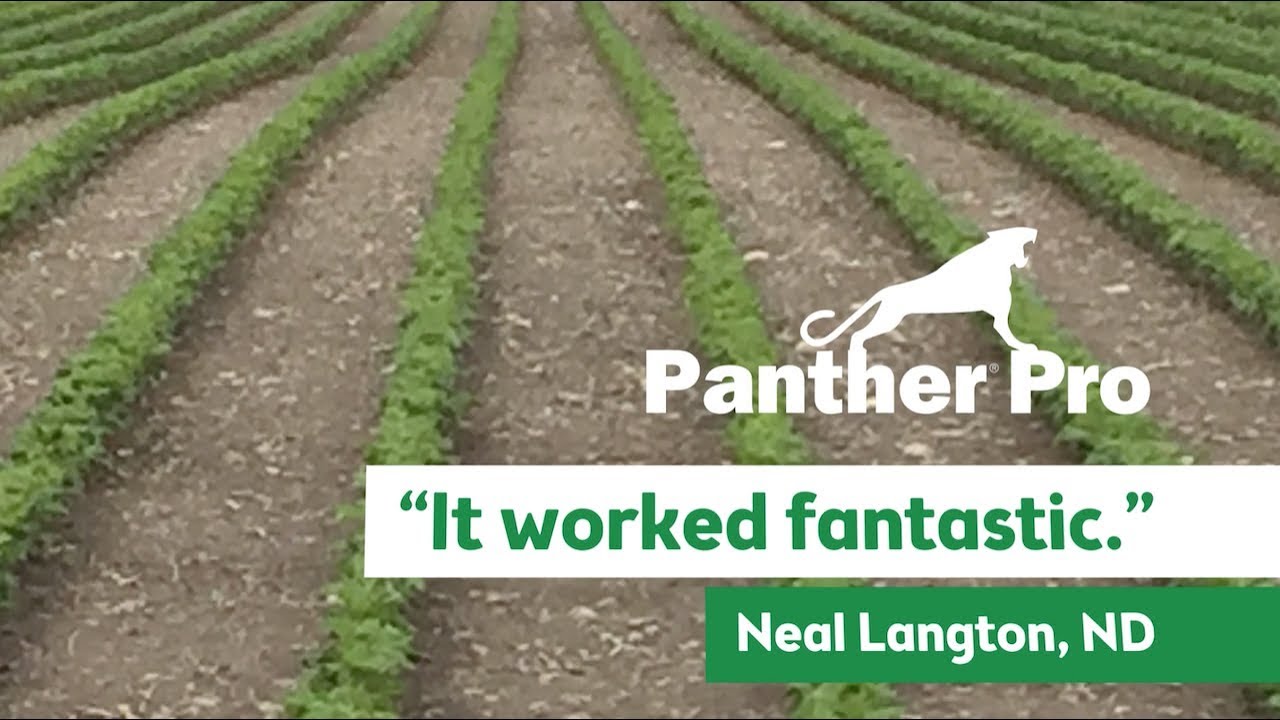 Growers Share Their Experience with Panther Pro - YouTube