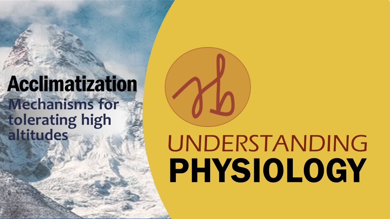 Acclimatization - YouTube