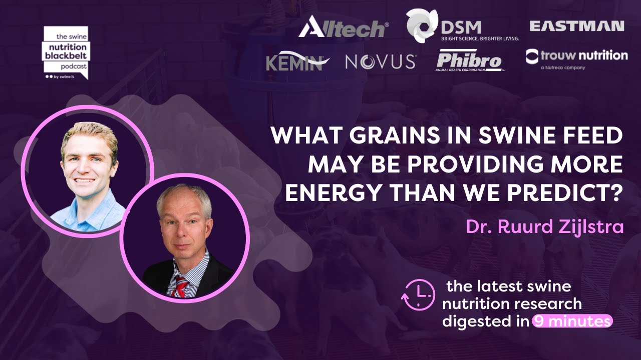 Dr. Ruurd Zijlstra: Energy in Swine Feed Grains | Ep. 15 - YouTube