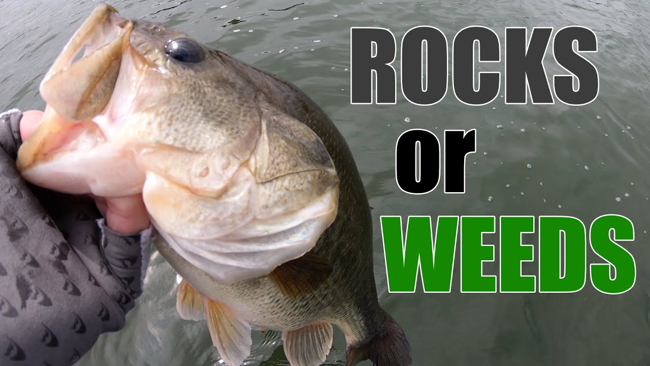 How to Find Bass During Tough Bites - Rocks and Weed Clumps! - YouTube