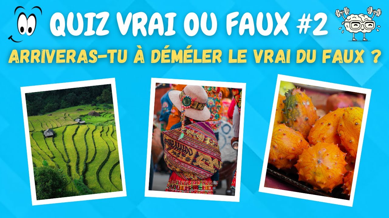 QUIZ Vrai ou Faux Culture Générale #1 l Ces affirmations sont-elles ...