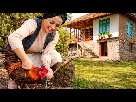 Rural life 🐔 | From slaughtering to cooking chicken