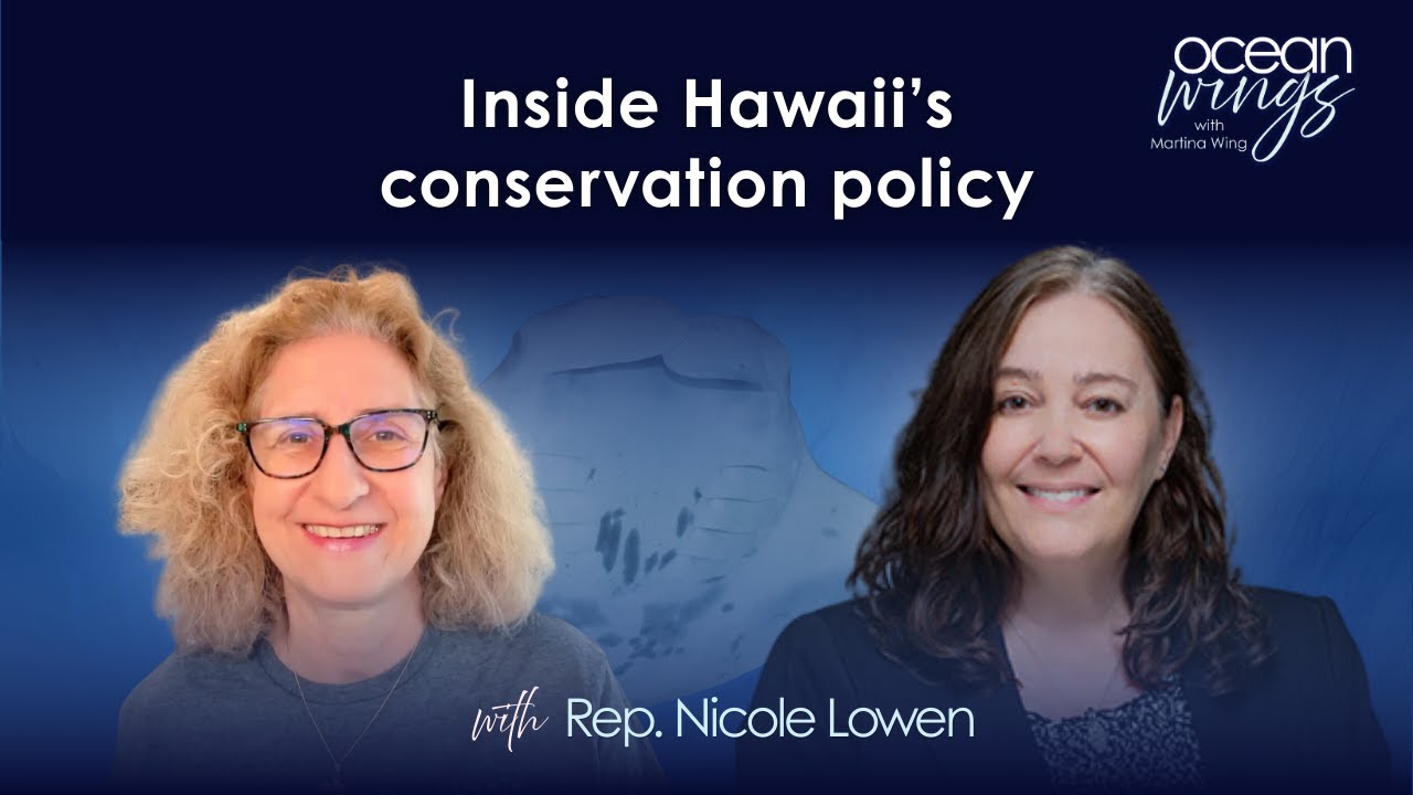 From resolution to regulation: environmental lawmaking in Hawaii (with ...