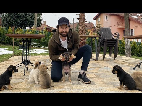 ALP NAVRUZ VE EBRU ŞAM'DAN YENİ VİDEO GÖRÜNTÜLER...