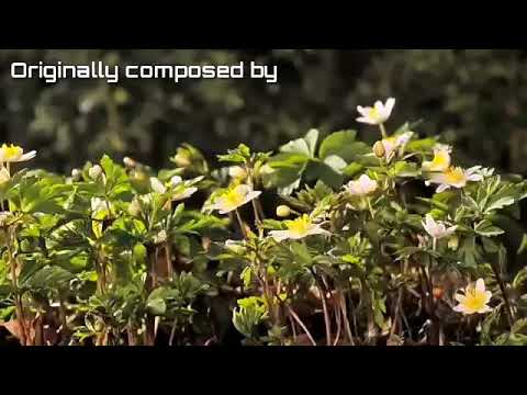 ILAIYARAJA'S BGM-GOOD NIGHT WHATSAPP STATUS 17