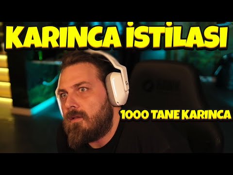 Elraenn Evindeki Karınca İstilasını Anlatıyor Binlerce Karınca Evi Basmış