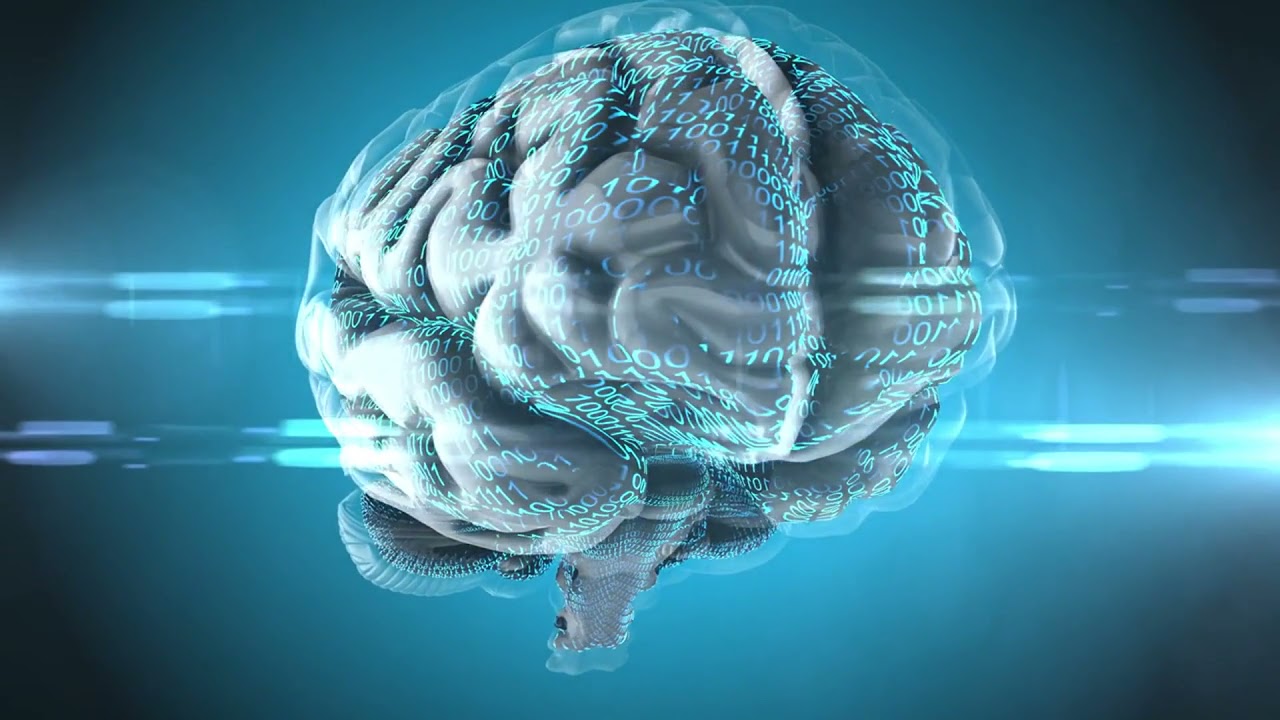 brain and neurons Free HD Stock Footage 26 - YouTube