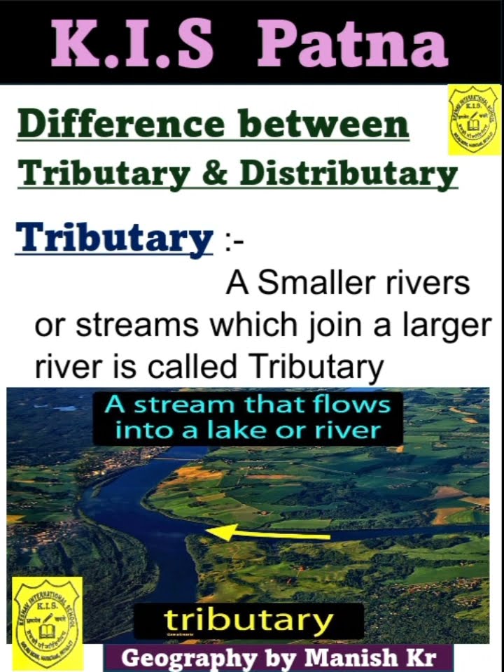 Difference between Tributary & Distributary #geography #class9geography ...