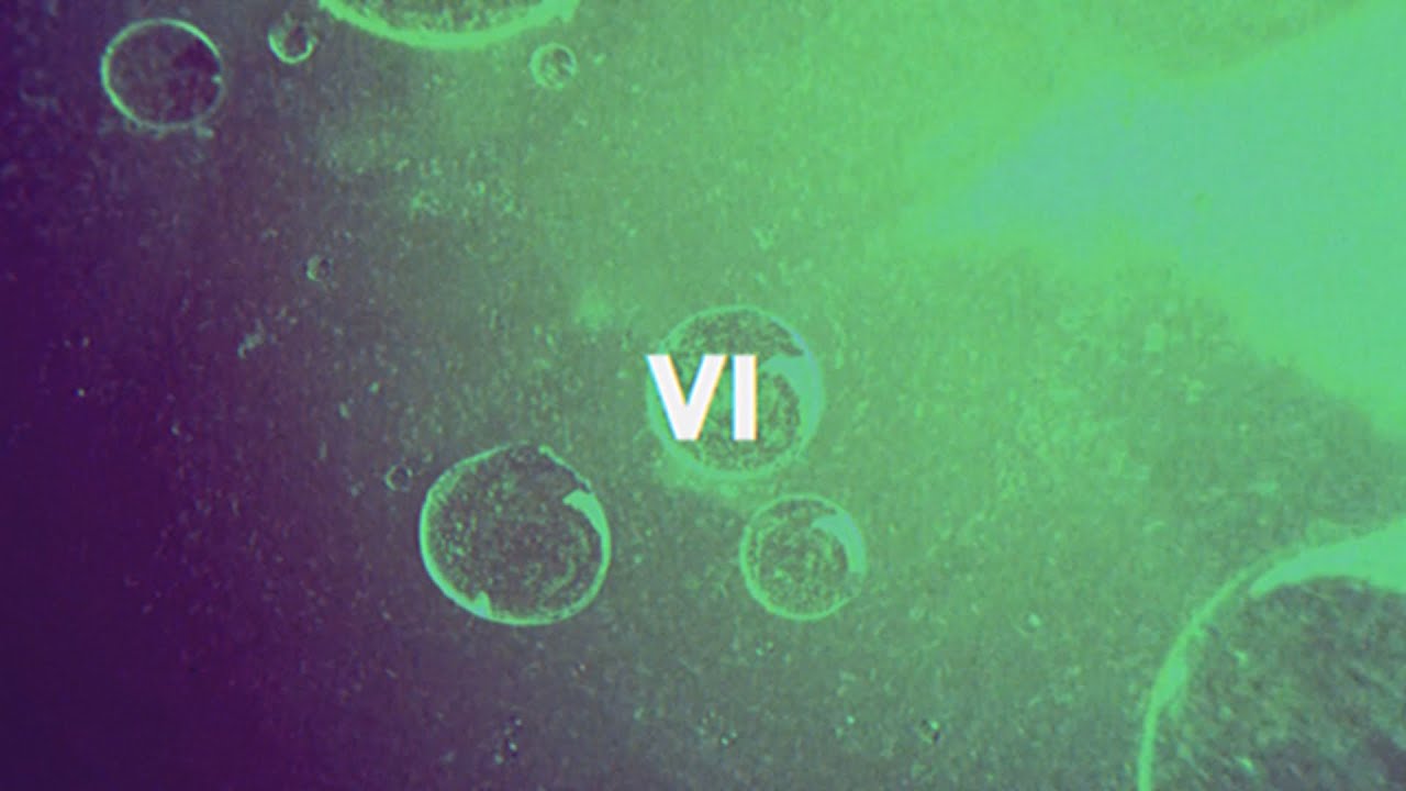 BUKONG - VI (BIONIC SONG) / no-input mixer, graphic eq - YouTube