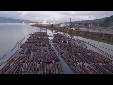 RSG Forest Products Kalama - YouTube