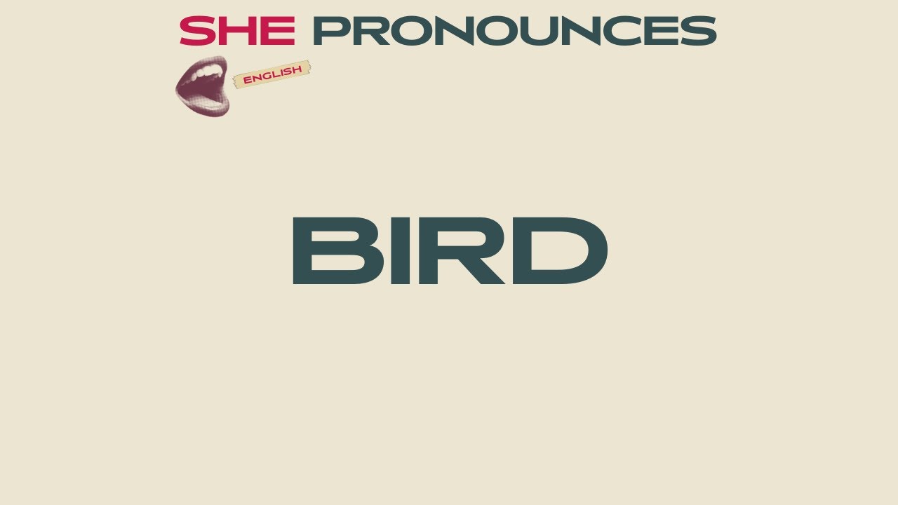 How To Pronounce BIRD | Correctly! - YouTube