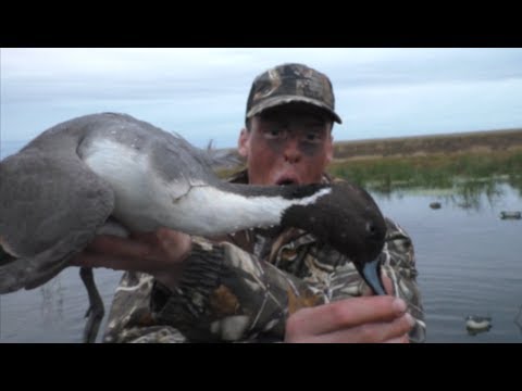 Nebraska Pintails 'n Face Paint - YouTube