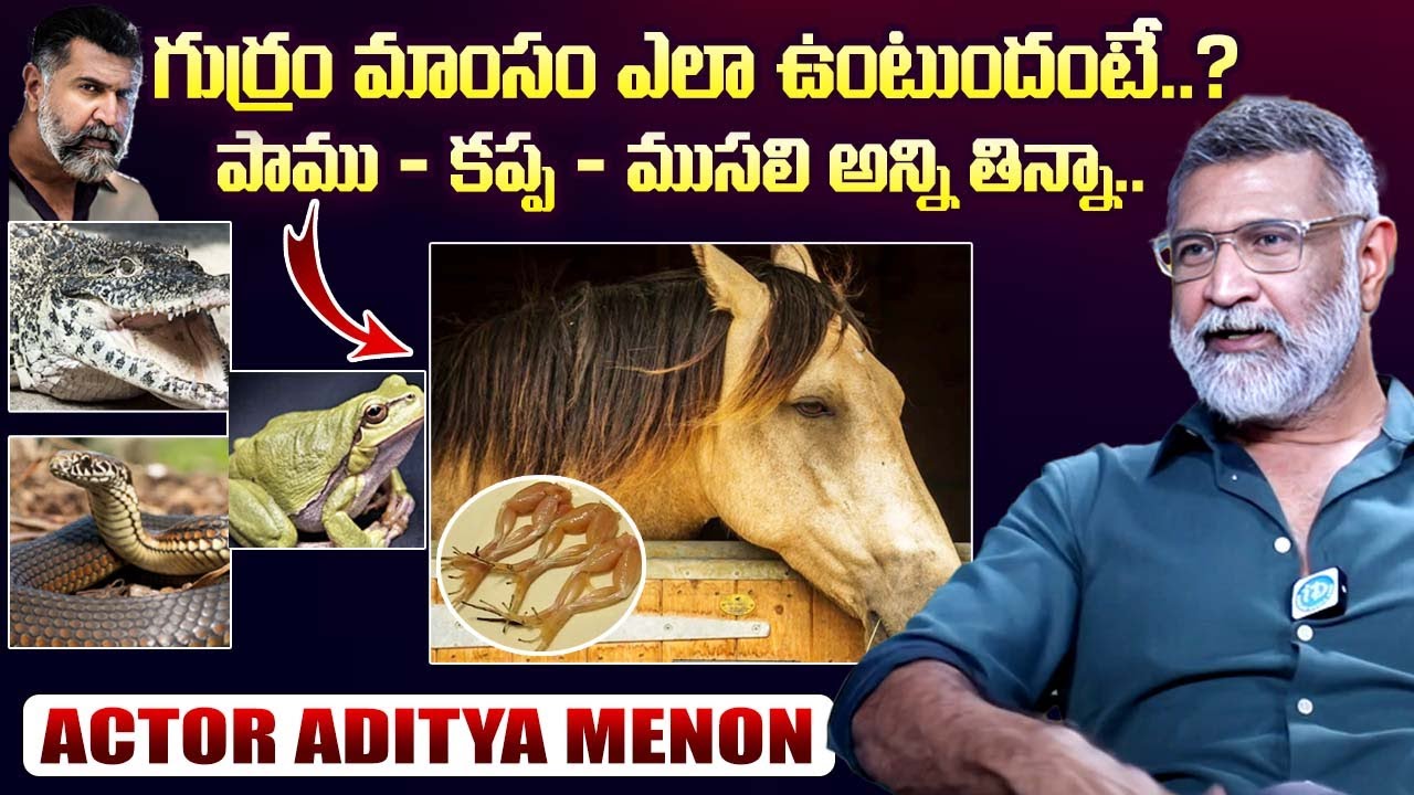 గుర్రం మాంసం టేస్ట్ ఎలా ఉంటుందంటే..? | Actor Aditya Menon Latest ...