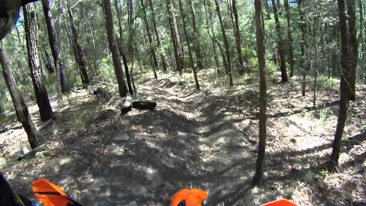 Ourimbah State Forest - YouTube