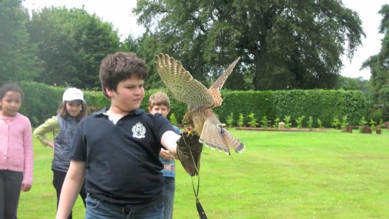 Colonie de vacances originale - CroqVacances.org - YouTube