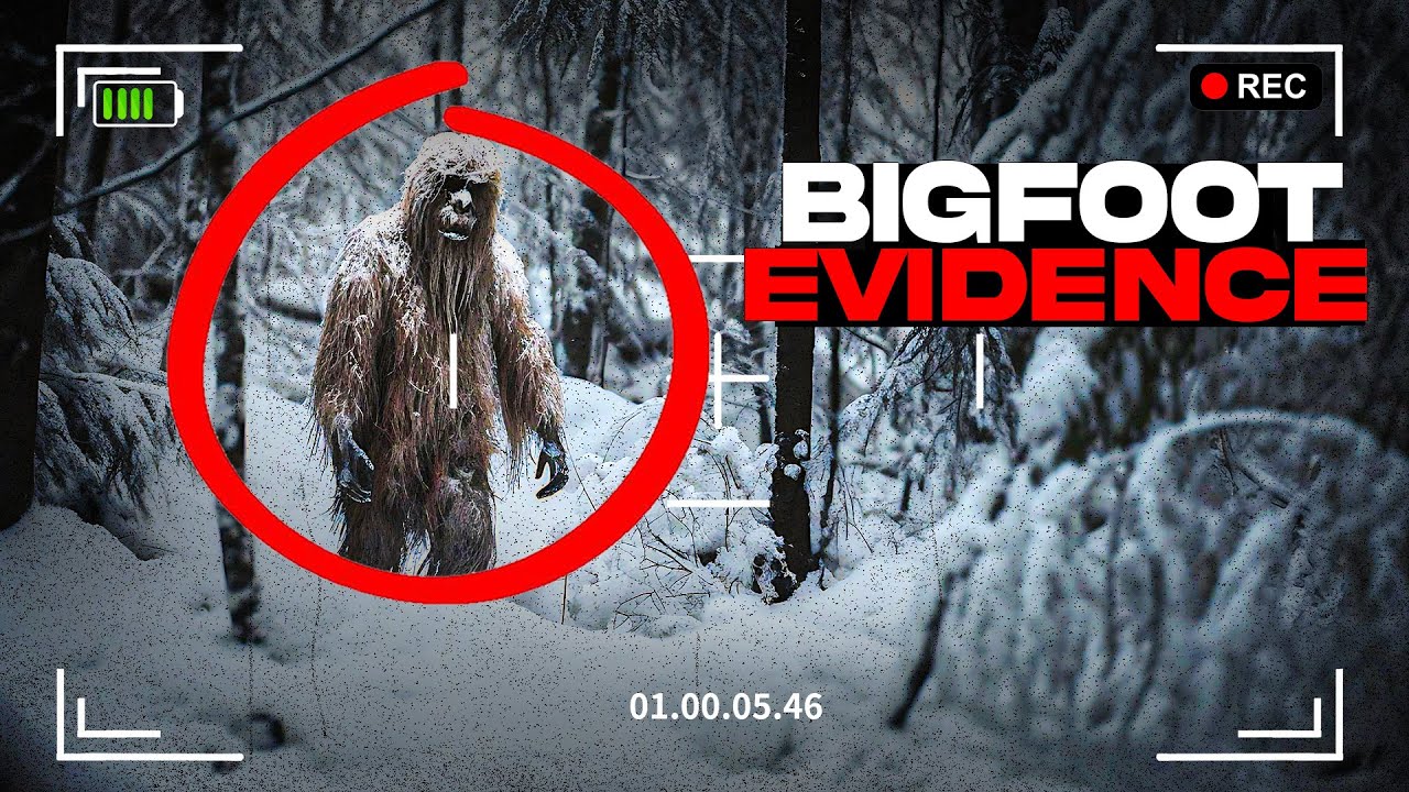 DANGEROUS PREDATOR Caught On Trail Cam - YouTube