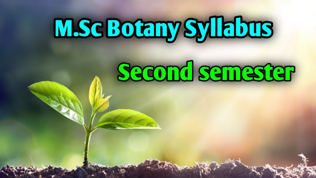 M.Sc Botany second semester syllabus || M.Sc botany syllabus and Exam ...
