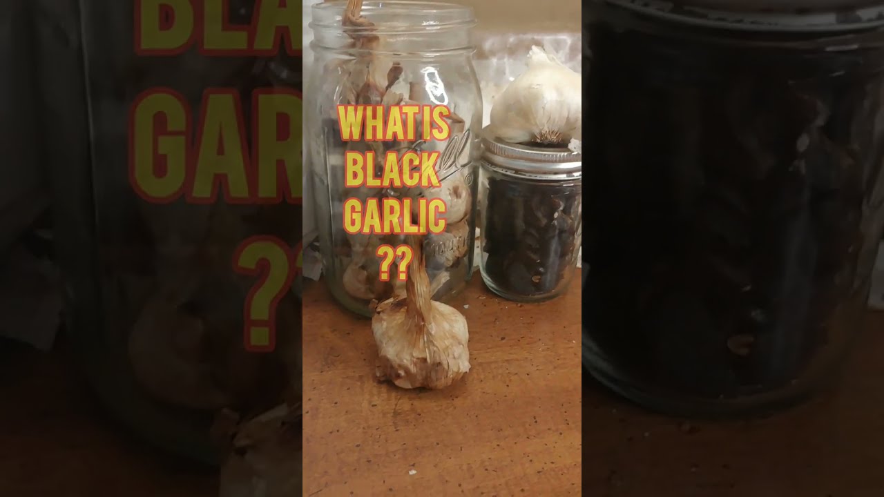 What is Black Garlic? Follow this channel to learn more Garlic Tips ...