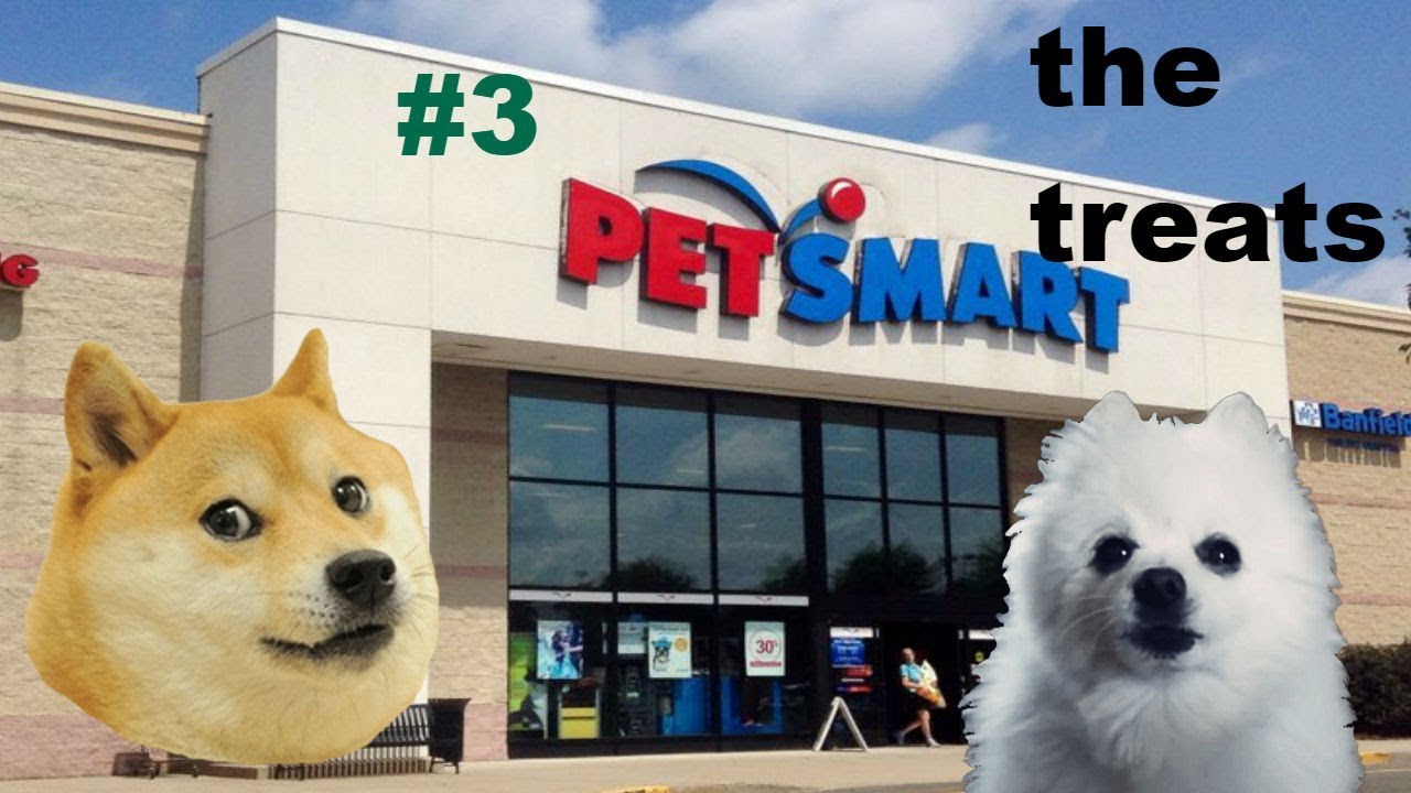 da story of da doge #3 - YouTube