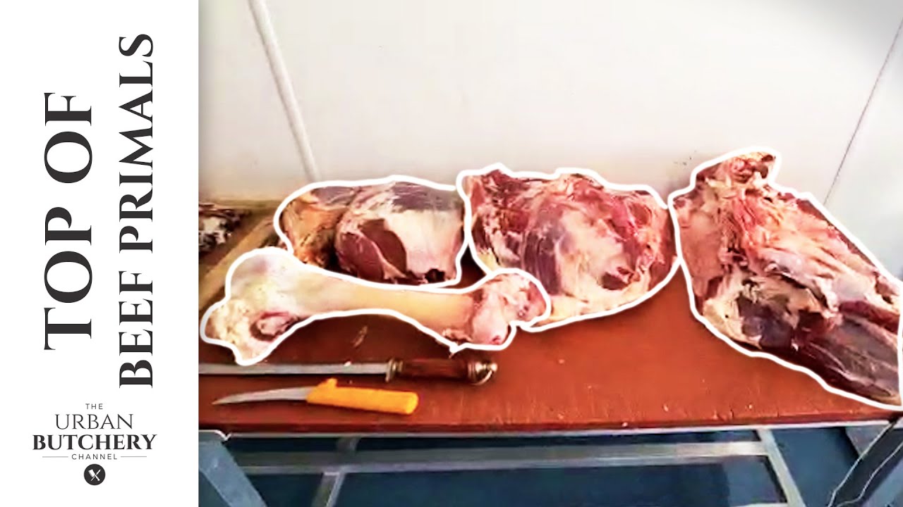 Top of Beef cut into Primals some Classical Butchery - YouTube